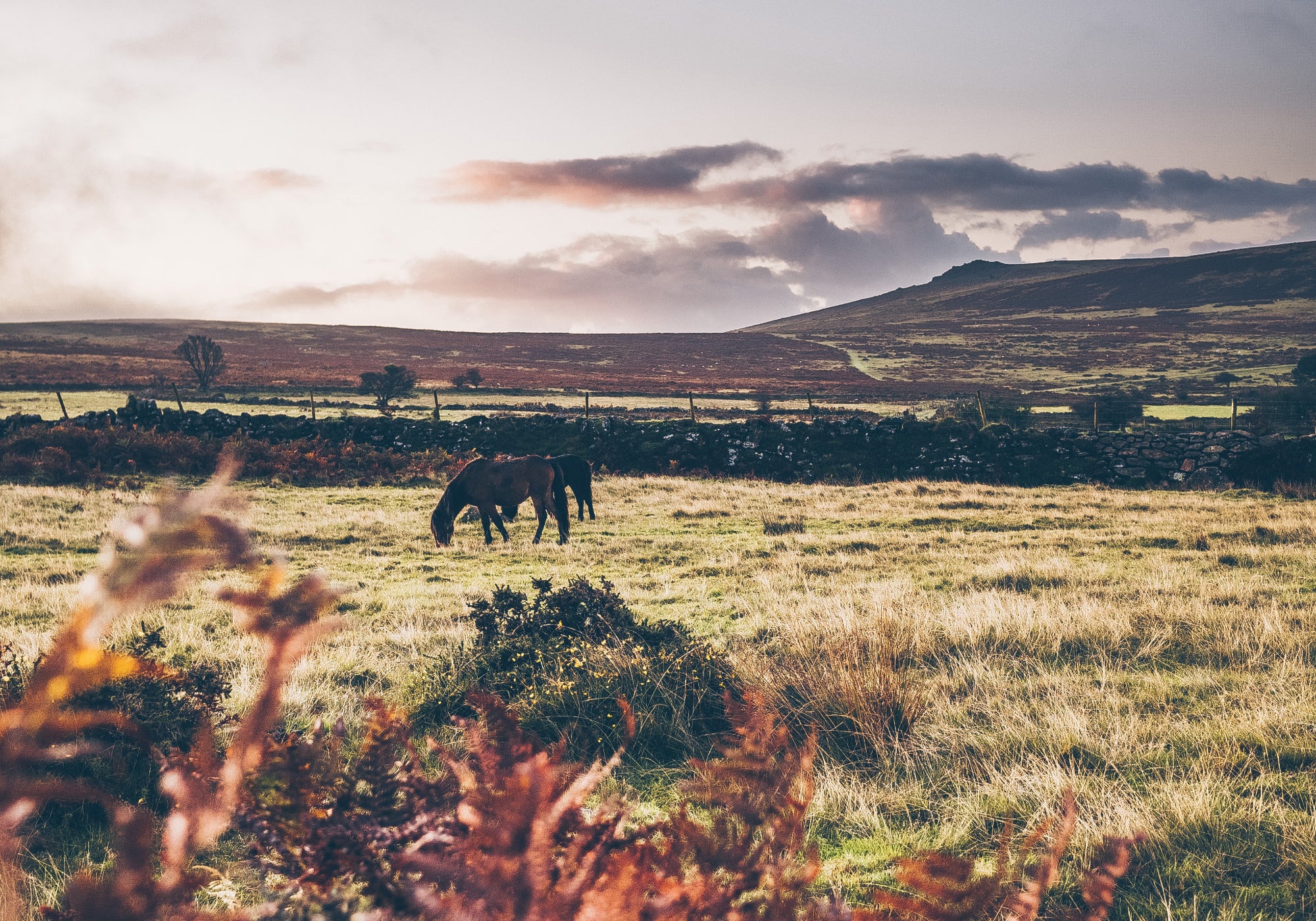 Summertime strolls: Our top ten walks this summer – Lazy Susan